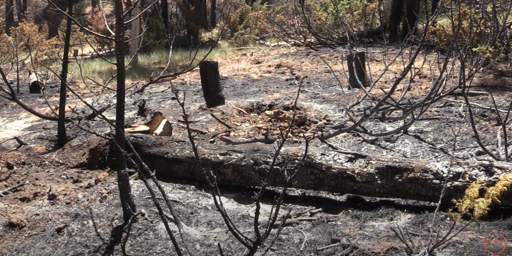 Mammoth Creek Fire Mostly Contained, But Conditions Are Right For a ...